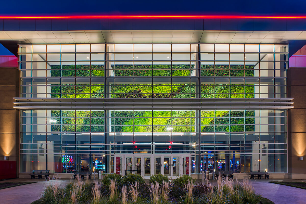 Work - The Lighting Practice