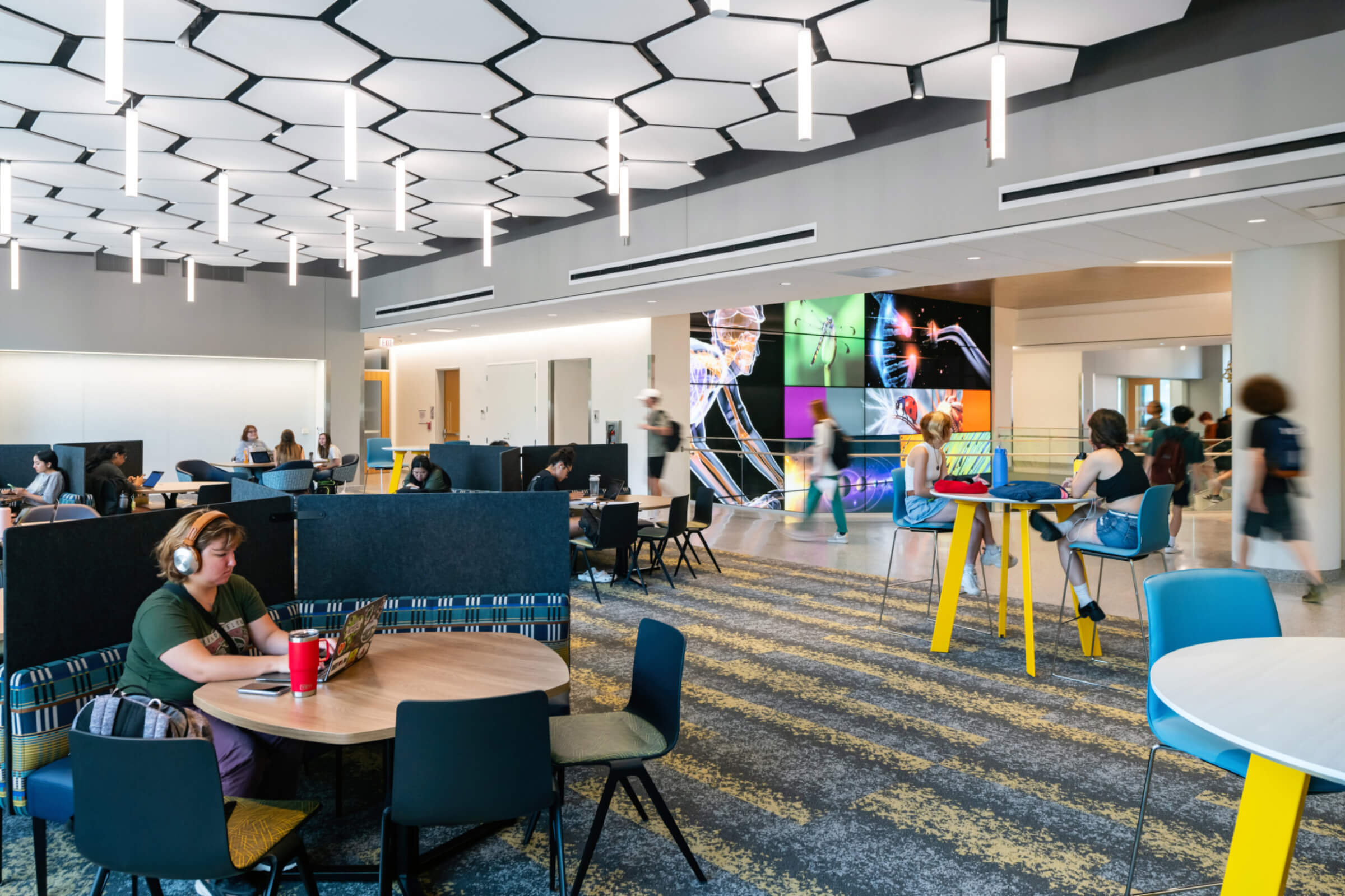 VCU STEM Building Case Study - The Lighting Practice